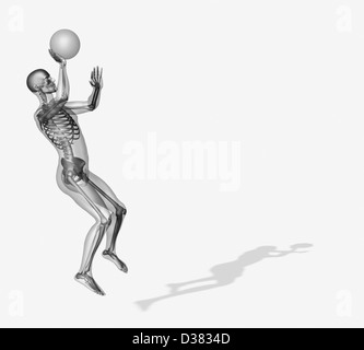 Human skeleton throwing ball Stock Photo - Alamy