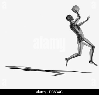 Human skeleton throwing ball Stock Photo - Alamy