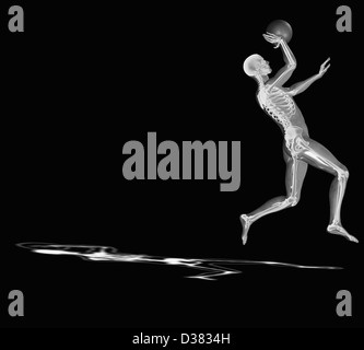 Human skeleton throwing ball Stock Photo - Alamy
