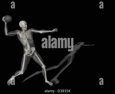 Human skeleton throwing ball Stock Photo - Alamy