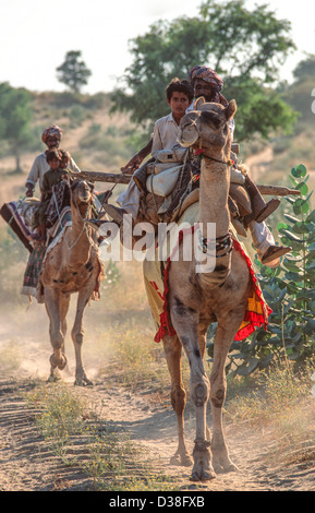 Thari nomads moving camp on camels. Thar Desert, Tharparkar. Pakistan ...