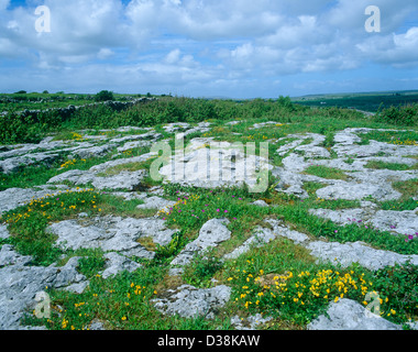 the burren national park in county clare, ireland. beautiful scenic ...