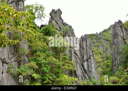 Limestone rock, in Palawan, Philippines Stock Photo - Alamy