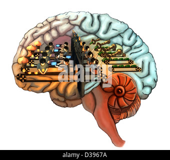 Active human brain, illustration Stock Photo - Alamy