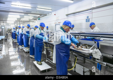 Workers in a fish factory in Röst, Lofoten, Norway Stock Photo - Alamy