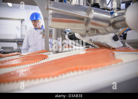 Wild Salmon processing, salmon factory, Alaska, USA, North America ...