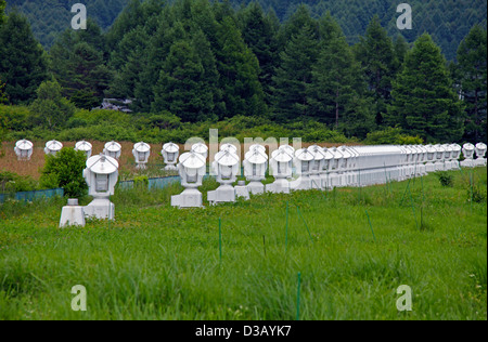 Nobeyama Radioheliograph at the Nobeyama Radio Observatory Nagano Japan ...