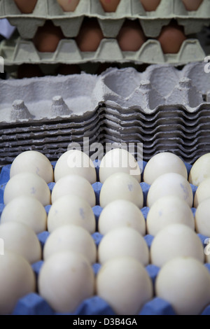Fresh eggs in carton at a market in the morning Stock Photo - Alamy