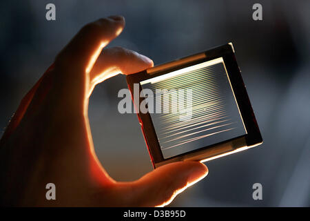 (dpa) - Biochemist Thomas Scheibel from the Technical University Munich ...