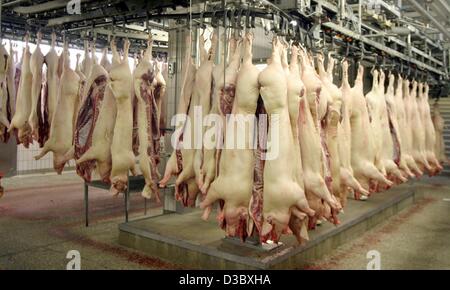 Processing of pig carcasses in a slaughterhouse Stock Photo - Alamy
