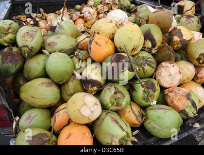 Fresh Coconuts for sale Stock Photo - Alamy