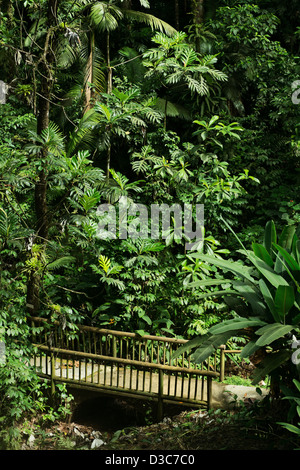 domaine d'emeraude, Morne Rouge, Martinique Island, Lesser Antilles ...