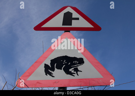 Frogs crossing the road warning sign, isolated on whit background Stock ...