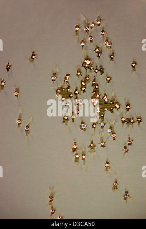 Old paper target with set of apertures from bullets Stock Photo - Alamy