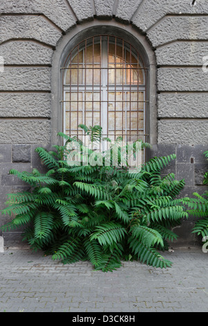 Main Telegraph Office, Monbijoustrasse, Mitte, Berlin, Germany Stock ...