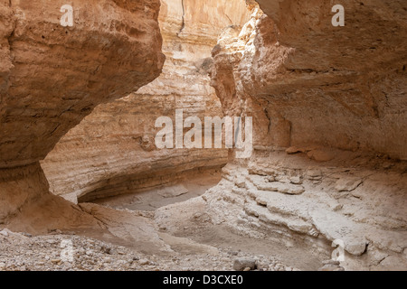 Canyon and oasis near Tamerza near Tozeur in the Sahara Desert in ...