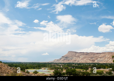 Peach farm in Palisade, Colorado Stock Photo - Alamy