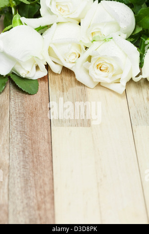 A vertical shot of beautiful flowers on the blurry background Stock ...