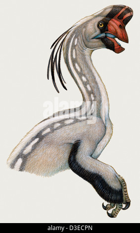 Oviraptor is a genus of small Mongolian theropod dinosaur, who lived in ...