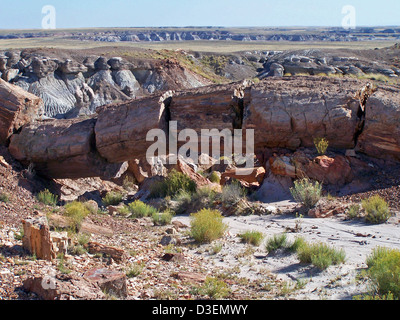 Keystone Arch in Petrified Forest National Park, Arizona, showcases ...