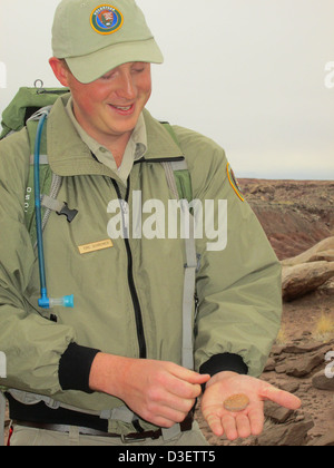 Ranger-led hike at Lacey Point in Petrified Forest National Park ...