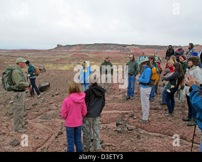 Ranger-led hike at Lacey Point in Petrified Forest National Park ...