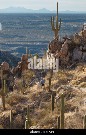 Man walking alone on desert sand dunes - explore and adventure outdoor ...