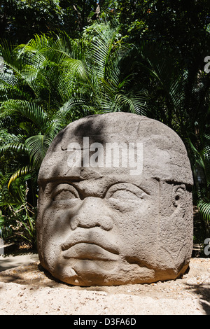 Giant Olmec stone carving Monument 56 monkey in La Venta park ...
