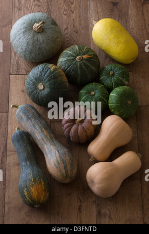 Assorted Multicolored Squash Stock Photo - Alamy