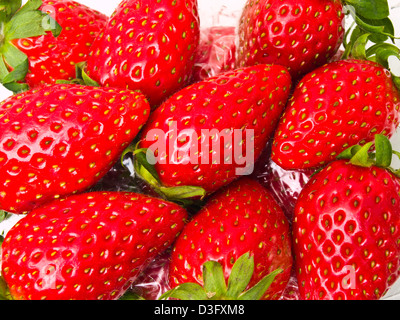 A macro shot of a plastic plant in a ceramic pot on a blurred ...
