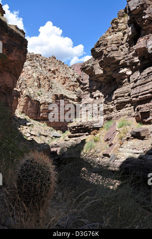 Deer Creek, located in Grand Canyon National Park, offers a riparian ...