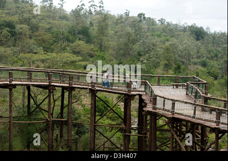 Boardwalk, Nairobi Safari Walk, Nairobi National Park, Nairobi, Kenya ...