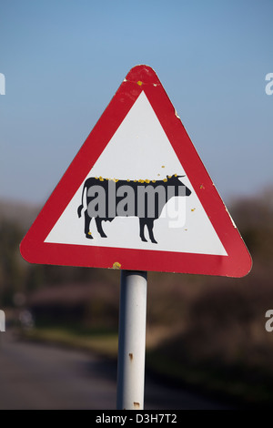 Beware of Cattle Road Sign Stock Photo - Alamy