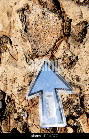 The Kaibab Limestone, part of the Grand Canyon's geological formations ...