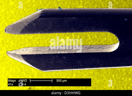 Smallpox Vaccination, Bifurcated Needle Stock Photo - Alamy