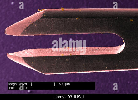 Smallpox Vaccination, Bifurcated Needle Stock Photo - Alamy