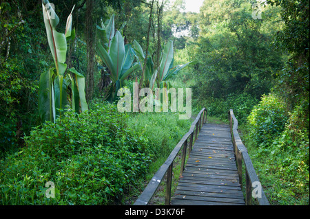 landscape in kenyan national park with mount kilimanjaro Stock Photo ...