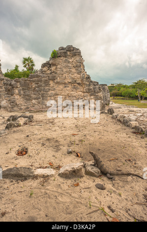 Mayan Ruin - El Rey Stock Photo - Alamy