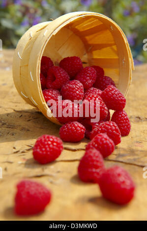 Raspberries raspberry fresh summer fruits fruit healthy food abstract ...