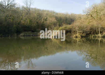 River Ely from the Ely Trail Footpath, Cardiff, South Wales Stock Photo ...