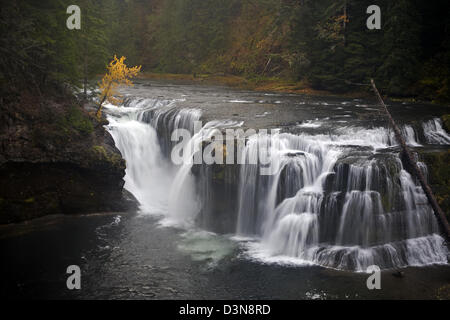 Lower Lewis Falls on the Lewis River, Gifford Pinchot National Forest ...