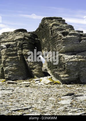 View of the Obelisk and other tors (schist pillars) on the Old Man ...