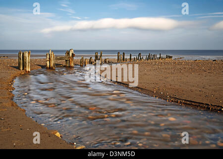 The Groynes, Sandsend beach near Whitby, North Yorkshire Coast Stock ...