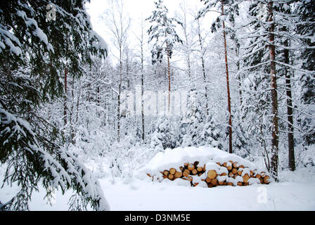 Log Pile in the snow Stock Photo - Alamy