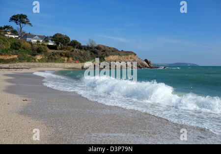Swanpool Beach, Falmouth, Cornwall, England, UK, GB Stock Photo - Alamy