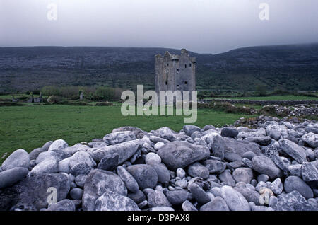Gleninagh Castle, Co. Clare, Ireland Stock Photo - Alamy