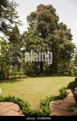 Company Bagh in Mussoorie, Uttarakhand, India Stock Photo - Alamy