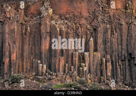 Columnar basalt lava rock formation on the North Umpqua River at Soda ...
