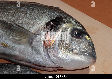 Bream fresh water fish wood grain carving symbol brown nature natural ...