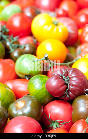 Organic natural tomatoes Stock Photo - Alamy